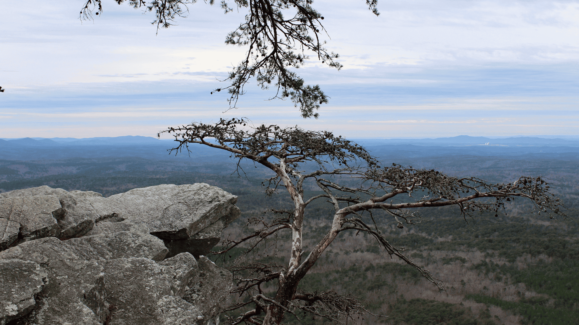10 Best Places To Propose In Alabama - Top 10 Best Places